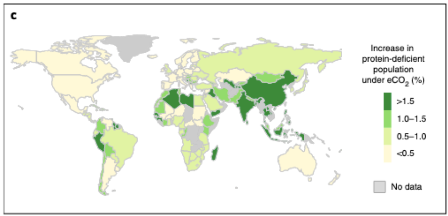 Plant-based proteins – Alternative proteins